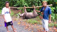 Papua New Guinea | Photography