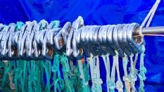 Fishing - Tuna Photos | Photography